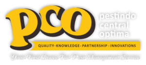 Professional Pest Control Services In Indonesia | PT. Pestindo Central ...